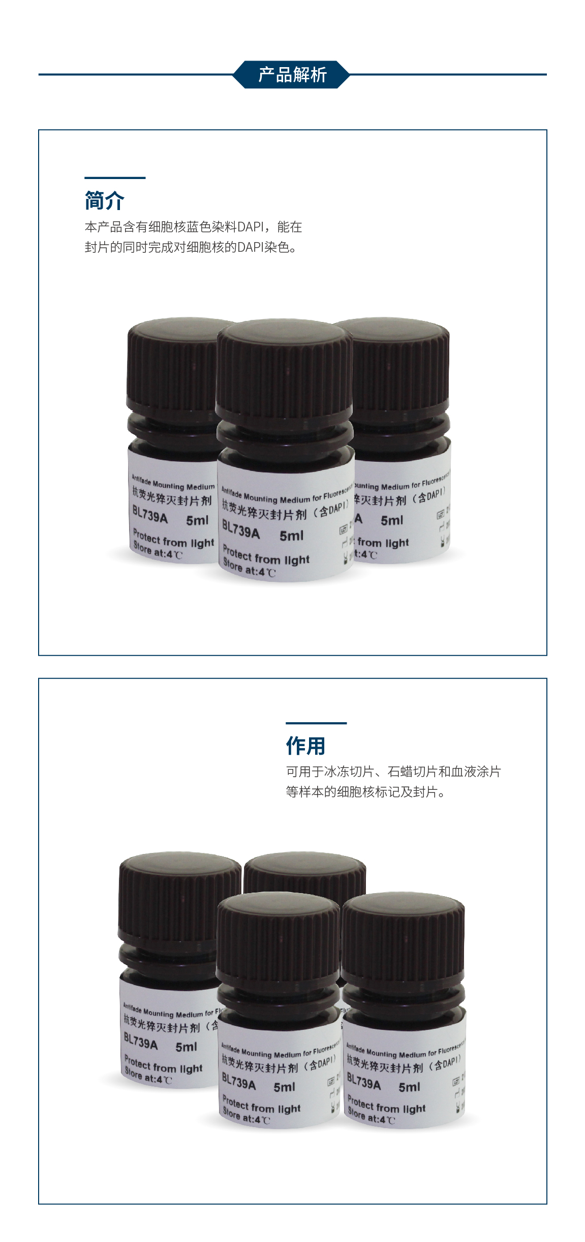 Biosharp BL739A 抗荧光猝灭封片剂(含DAPI) - 试剂仪器耗材